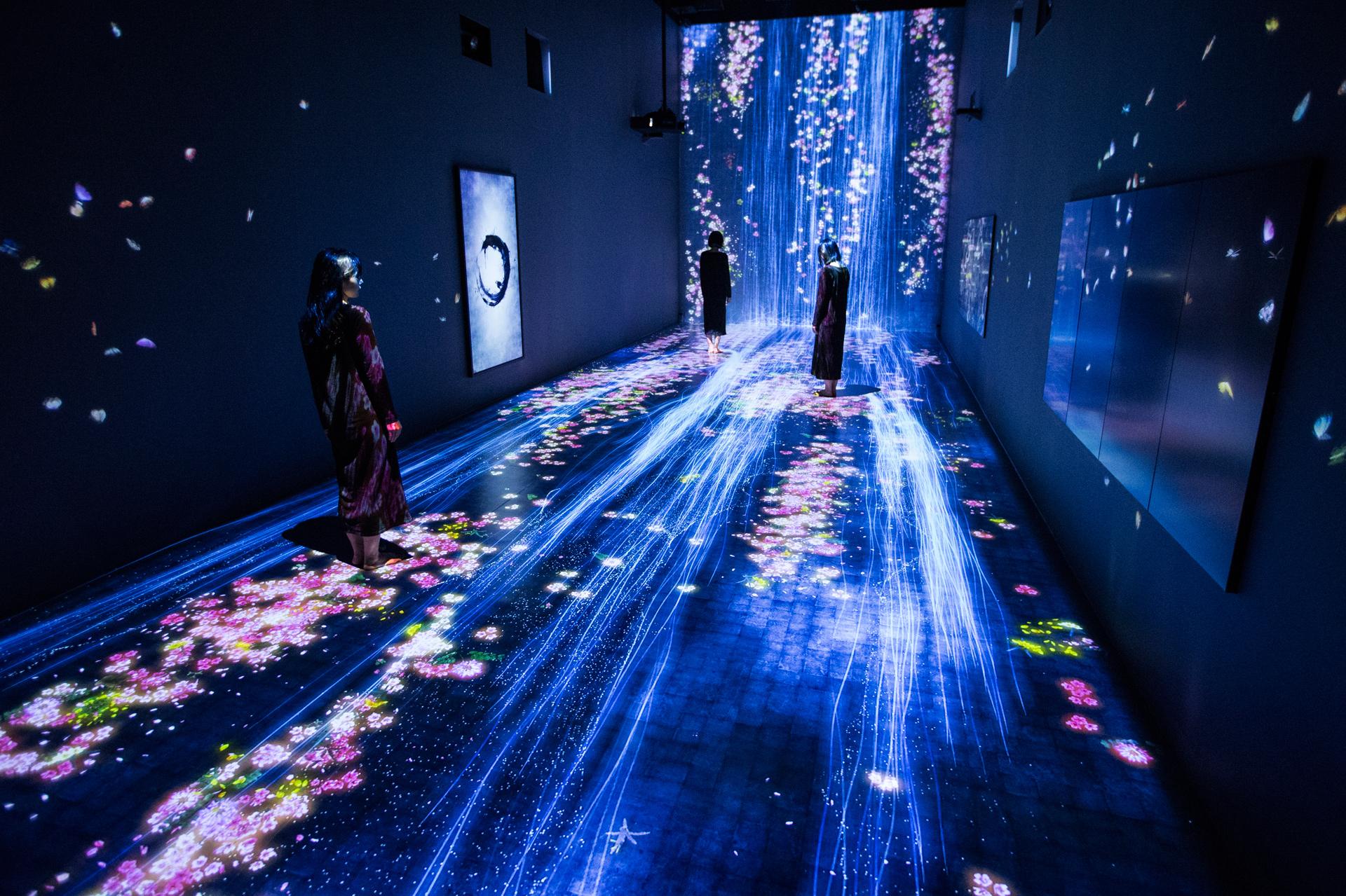 Frameweb | Immersive exhibition by Tokyo's teamLab blends realities