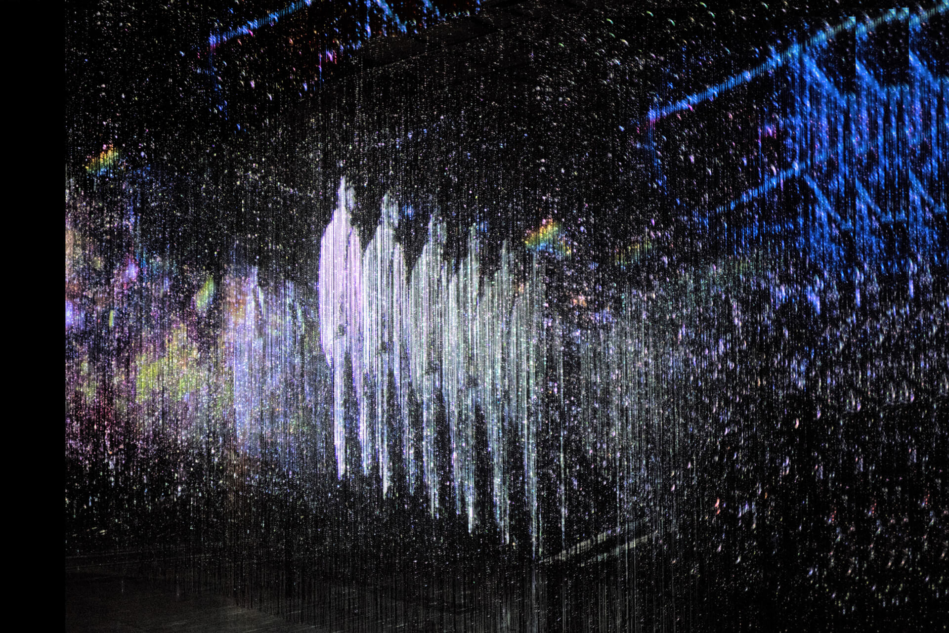 Frameweb | A light installation by Maja Petrić shows AI can foster ...