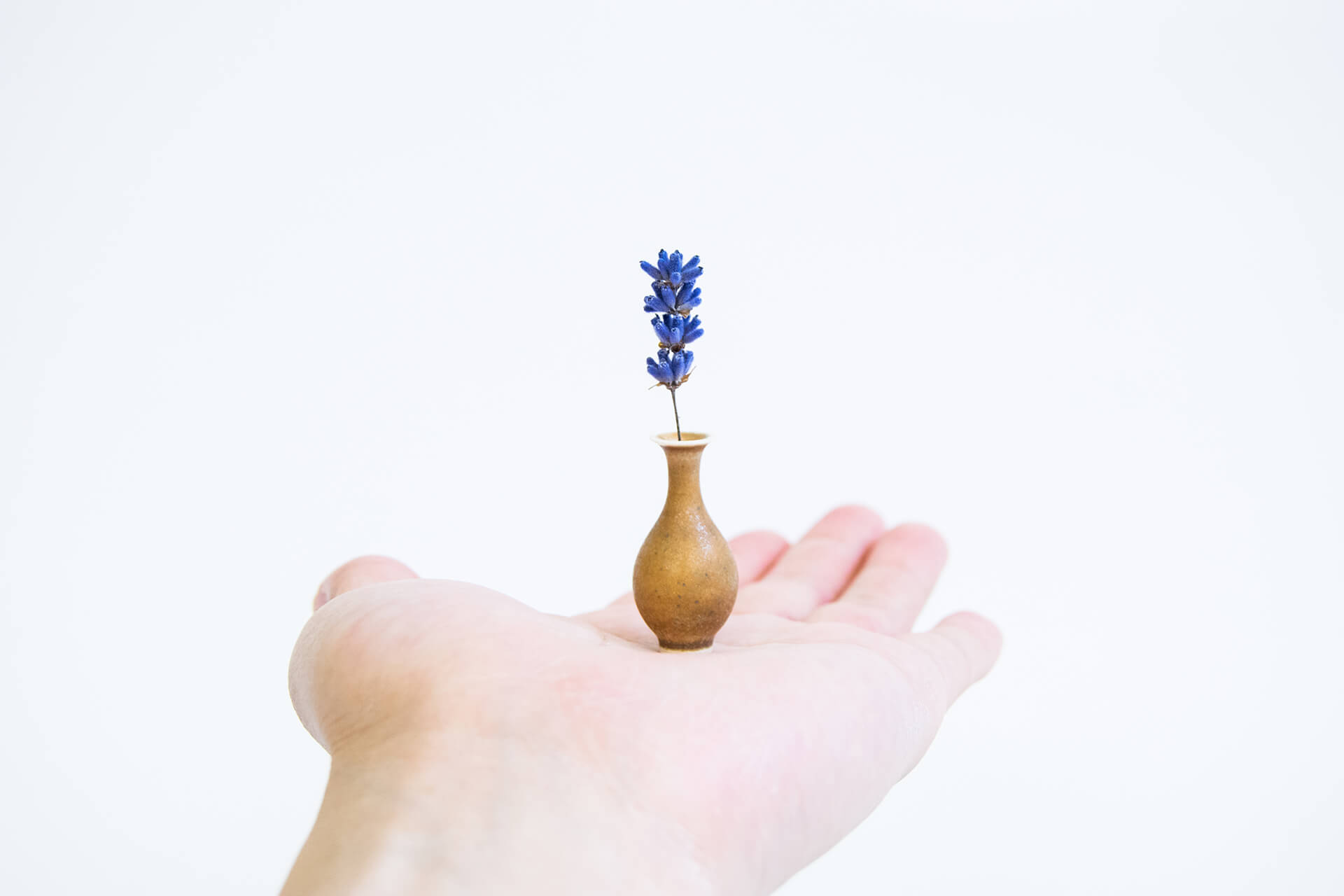Frameweb | How working in miniature helps Japanese potter Yuta Segawa ...