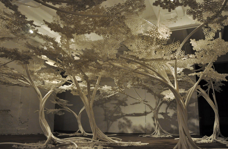 Frameweb | Cherry Tree Installation