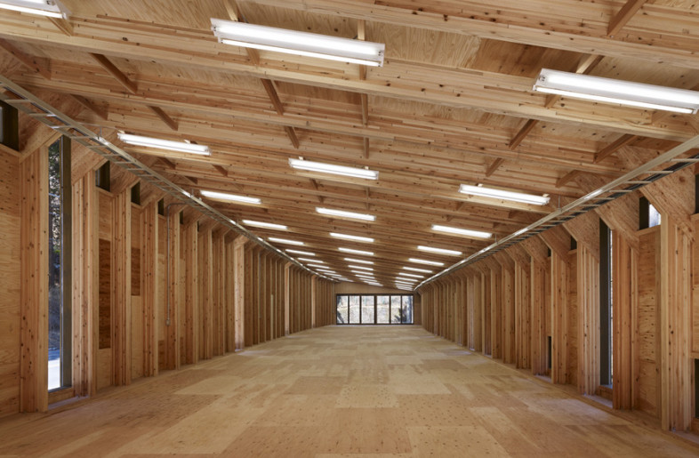 Frameweb | Workshop in the Forest