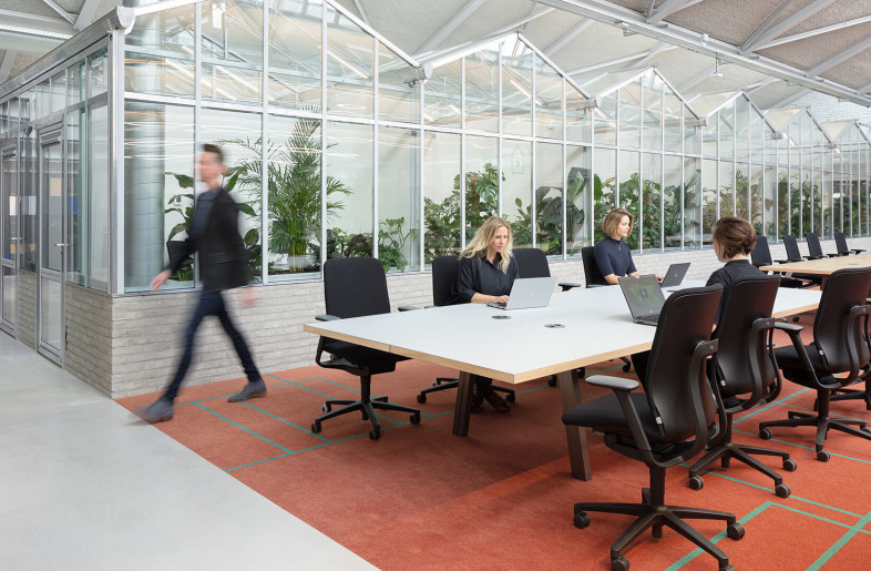 FRAME | Zoom with a view: ten backgrounds for your (virtual) WFH ...