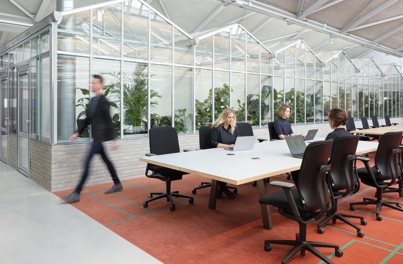 Frameweb | Client as collaborator: 3 workspaces that show what's ...