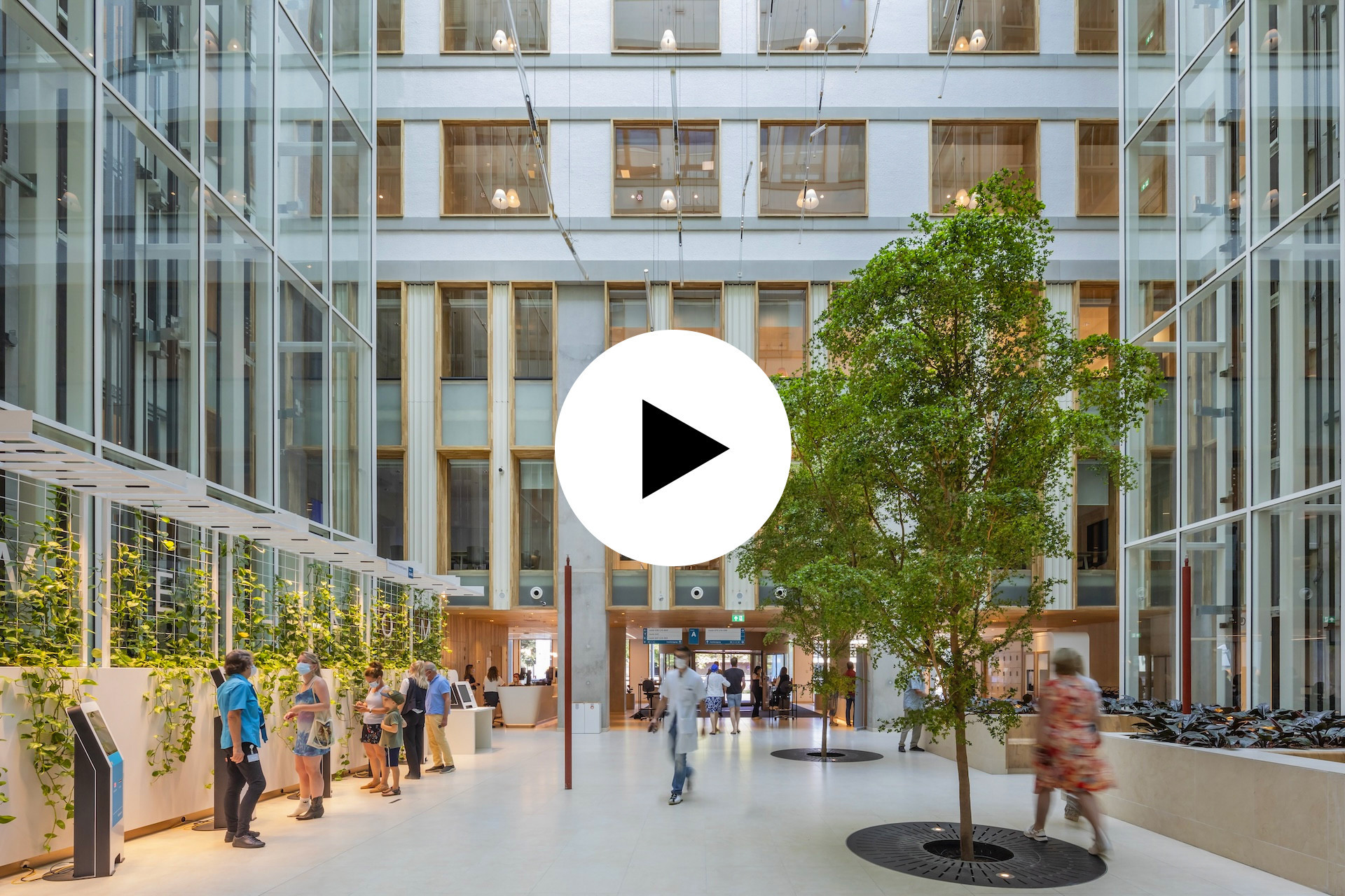 Frameweb | Video: This nature-infused hospital delivers holistic, human ...