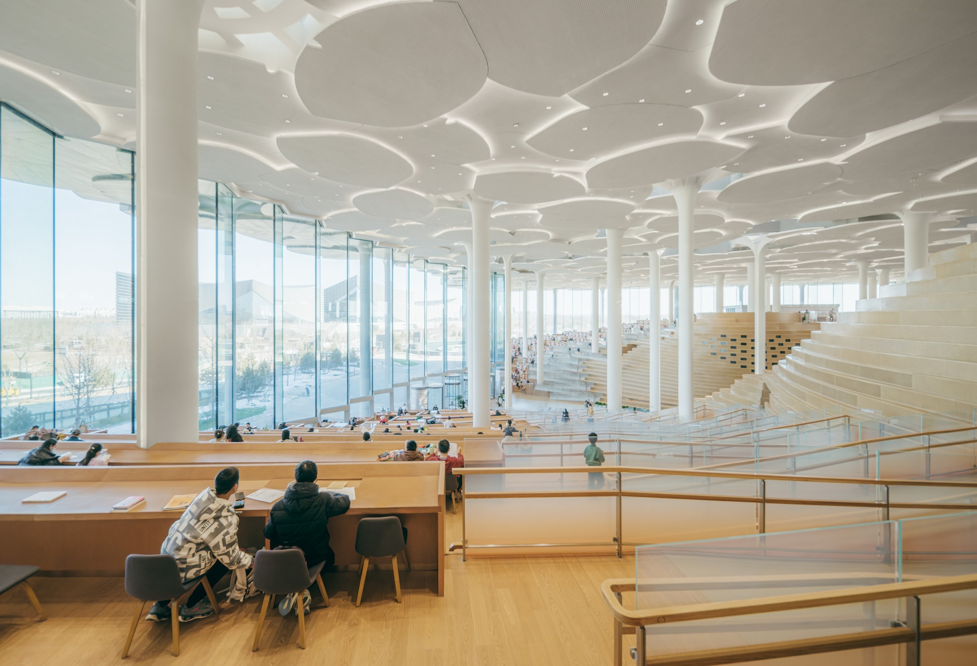 Frameweb | Libraries are still relevant. Let these 4 spaces prove it to you