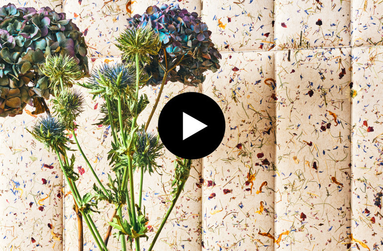 Frameweb | Bloom Skin