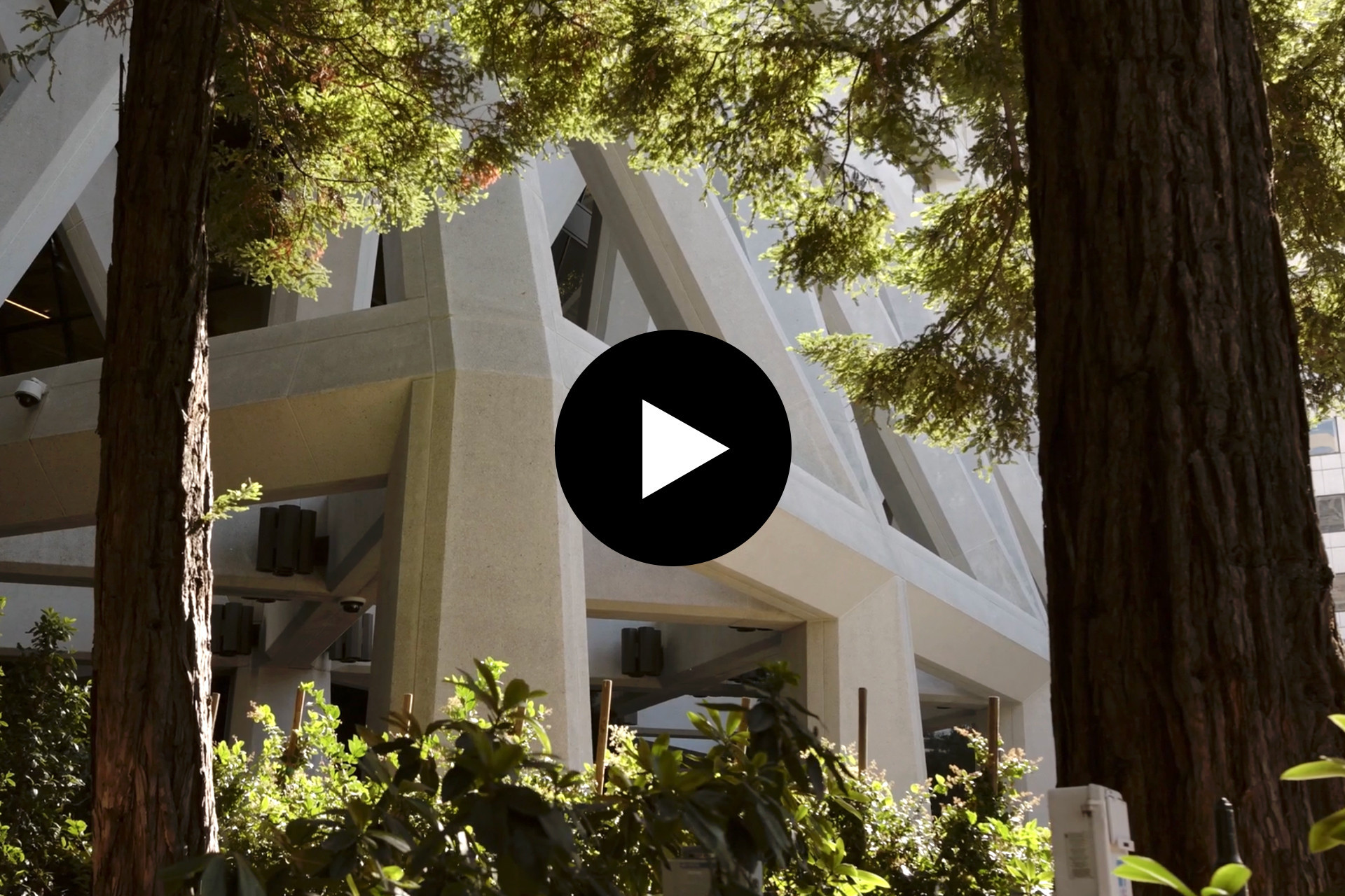 Frameweb | Video: ‘How do you breathe new life into a building that ...