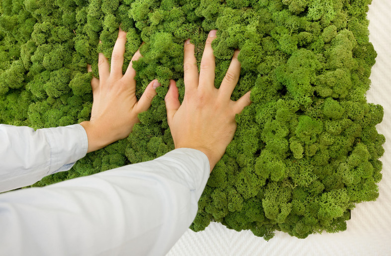 Frameweb | We’re sounding off: this is one of the most underrated ...