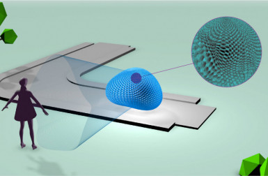 FRAME | The four best interpretations of 'freespace' at the Venice ...