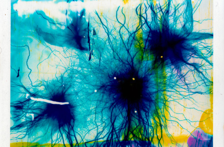 Frameweb | Electrical Art by Philip Stearns