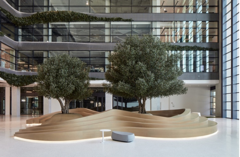 FRAME | Mental Wellness: The tools you need to design for good health